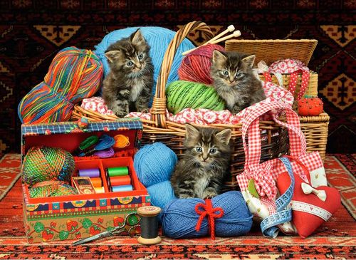 DIVERSIÓN SOBRE ALGO BLANDO - WEB DON JUEGO